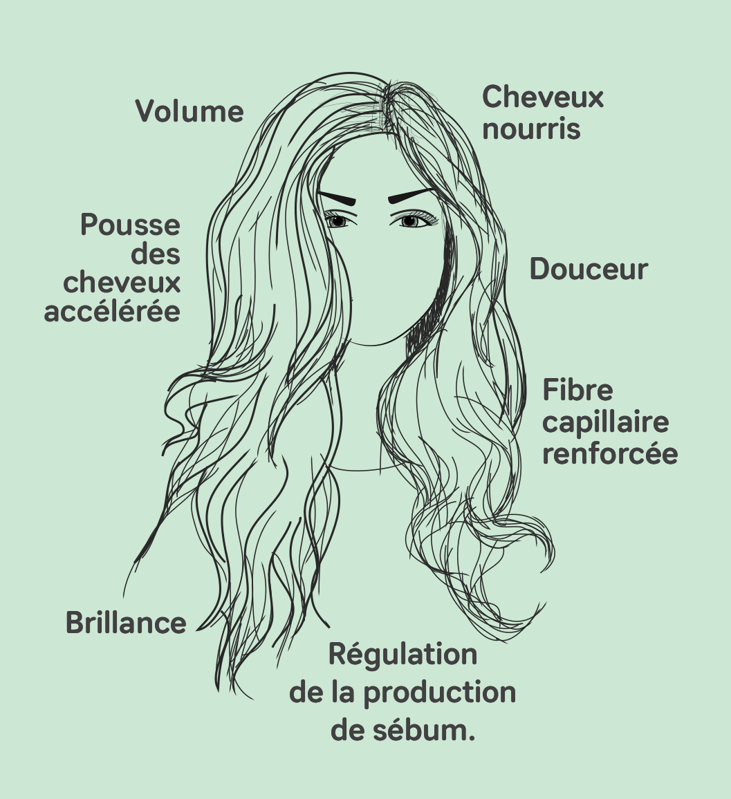 Cure de sébum, kézako ? Esquisses d'Adélaïde