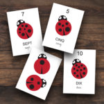 Imagier coccinelle : apprendre à compter - Esquisses d'Adélaïde