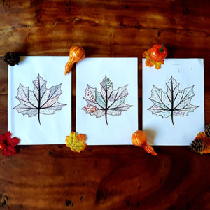Atelier graphisme sur feuille d'automne - Esquisses d'Adélaïde
